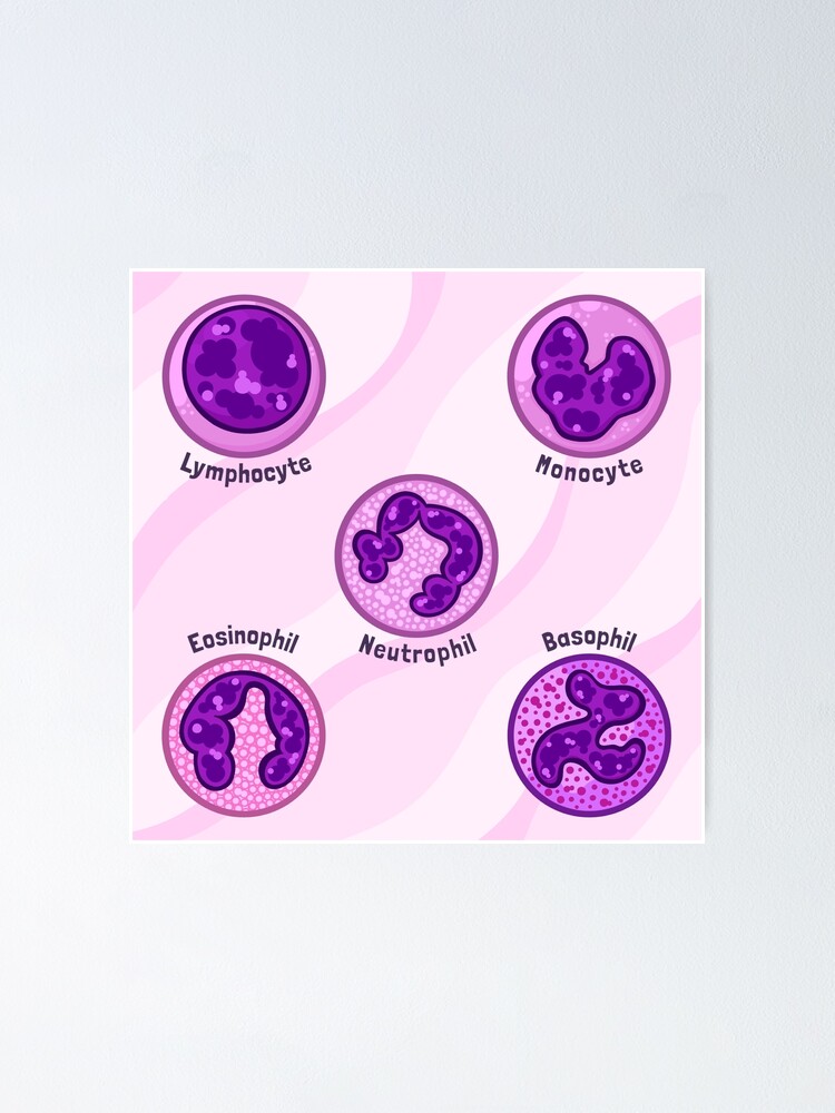 "WBCs" Poster for Sale by Macbendigo | Redbubble