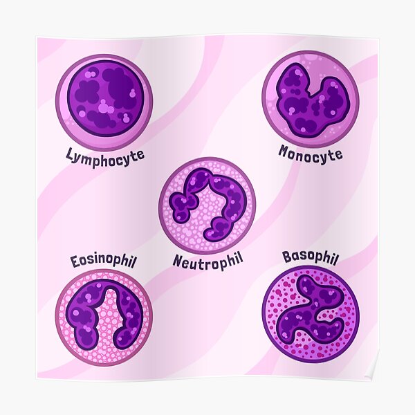 "WBCs" Poster for Sale by Macbendigo | Redbubble