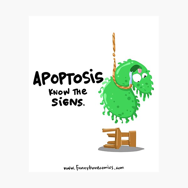 Lámina fotográfica «La apoptosis conoce los signos» de Buckanesthesia ...