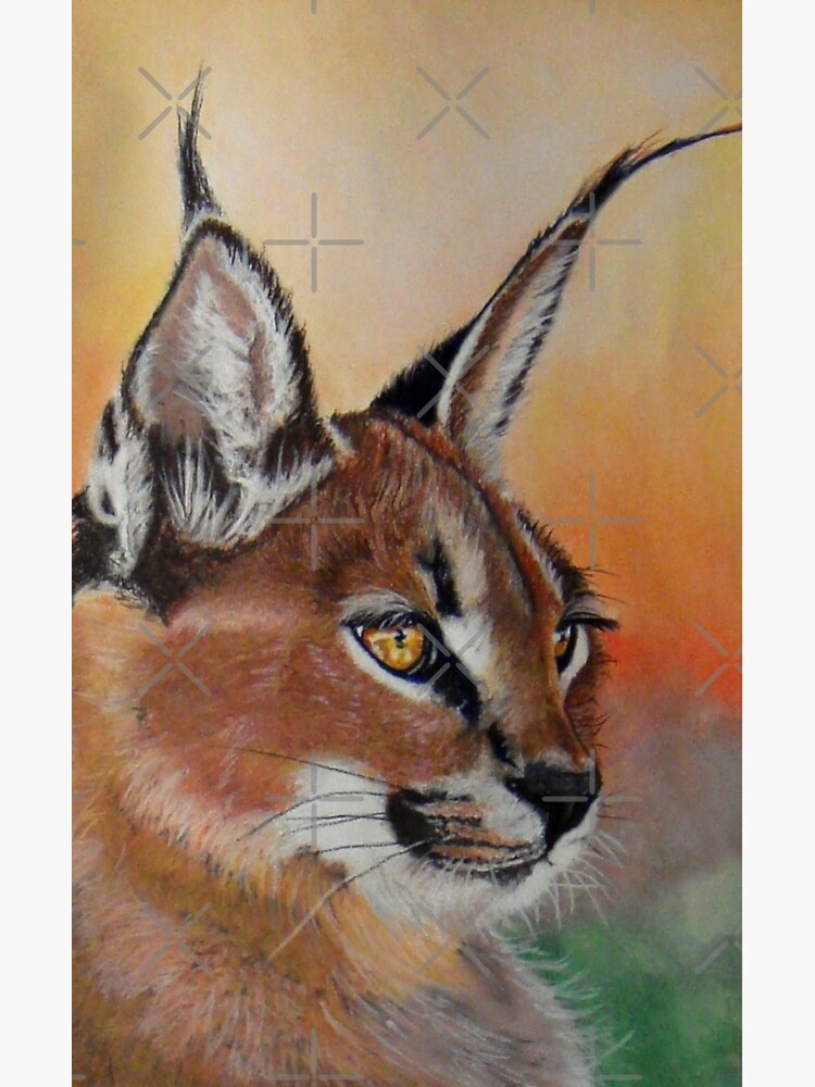 "Serval Cat......." Poster by angipangi7 | Redbubble