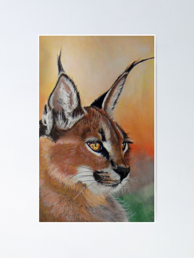 "Serval Cat......." Poster by angipangi7 | Redbubble