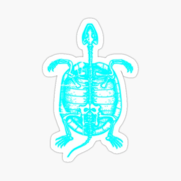 "X ray turtle amphibian design" Sticker for Sale by -JBell- | Redbubble