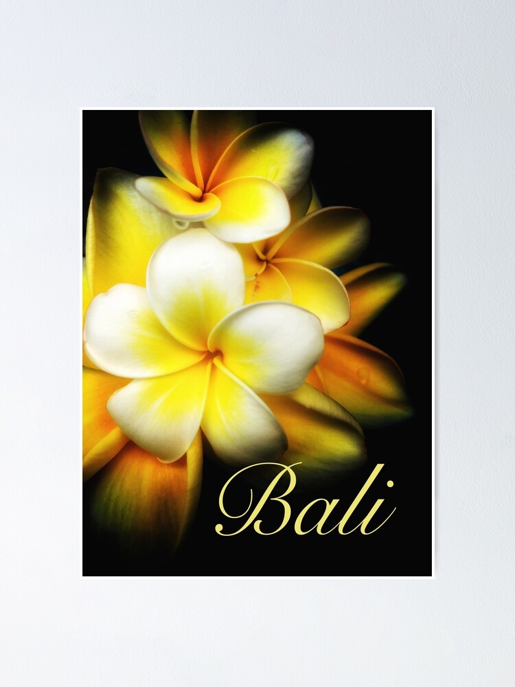 "Bali - Cover Art" Poster by CassieGannon | Redbubble