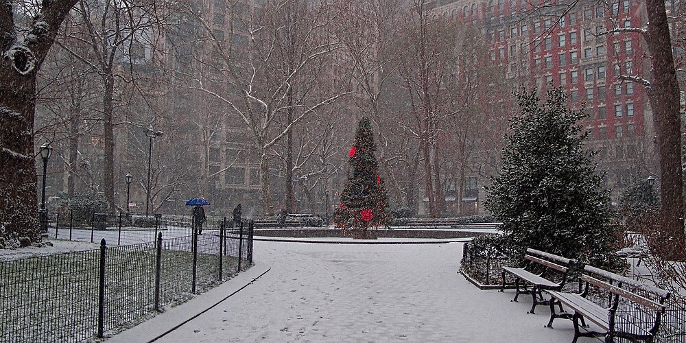 "A Christmas Tree In the Snow, Madison Square Park, NYC" by Chris Lord ...