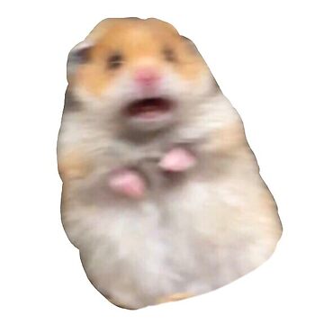 "Screaming Mouse Meme" Sticker for Sale by kawalek26 | Redbubble