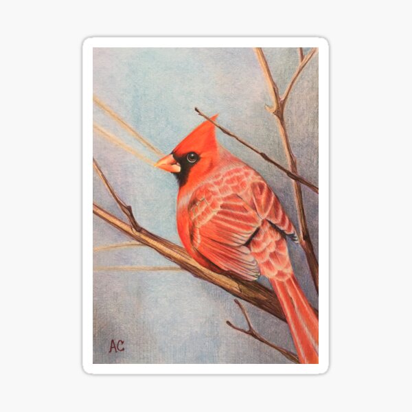 "Cardinal" Sticker for Sale by WyoClements | Redbubble