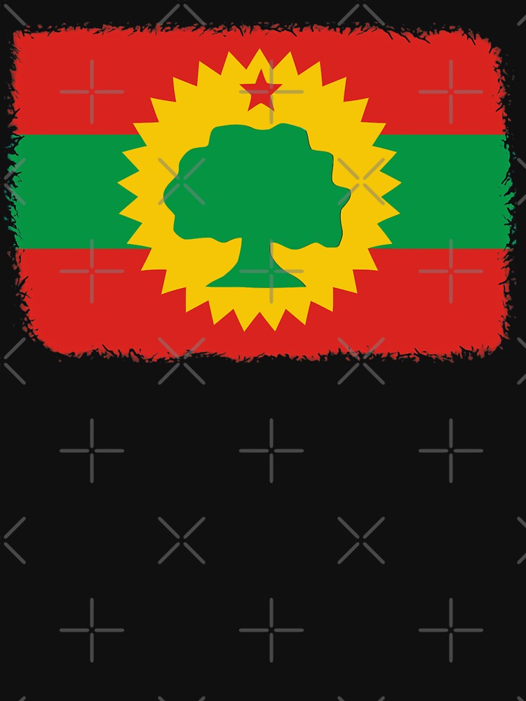 "Oromo Flag Ethiopia " Pullover Hoodie for Sale by NabilJamal | Redbubble