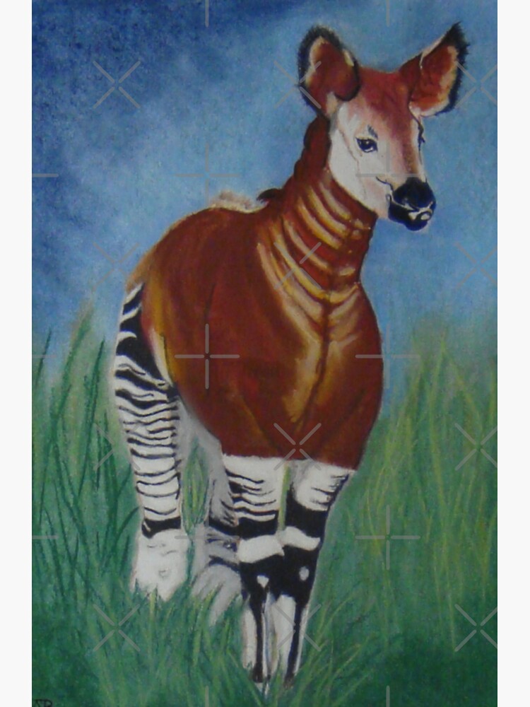"Okapi" Sticker for Sale by angipangi7 | Redbubble