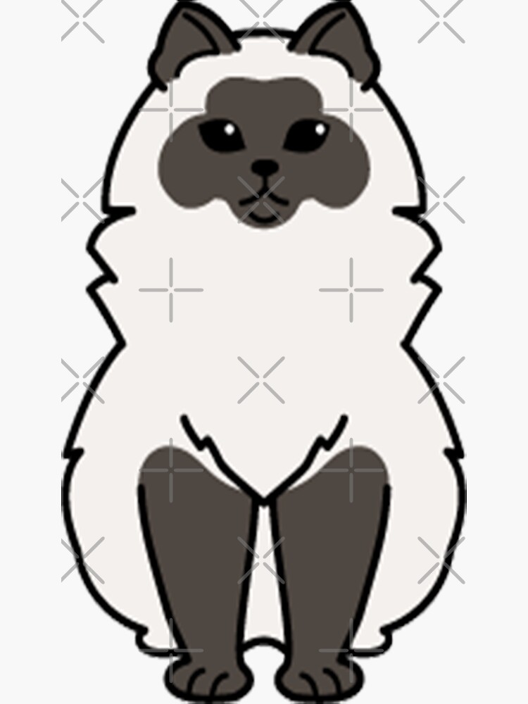 "Himalayan Cat" Sticker for Sale by Pam069 | Redbubble