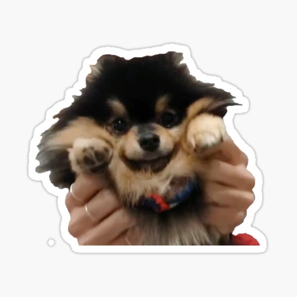 Yeontan Gifts & Merchandise | Redbubble