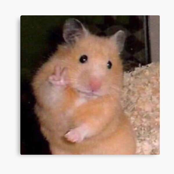 "peace sign hamster" Canvas Print for Sale by ddorsch | Redbubble