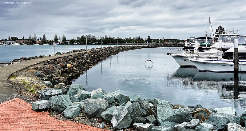 "Forster Marina 3344" by kevin Chippindall | Redbubble