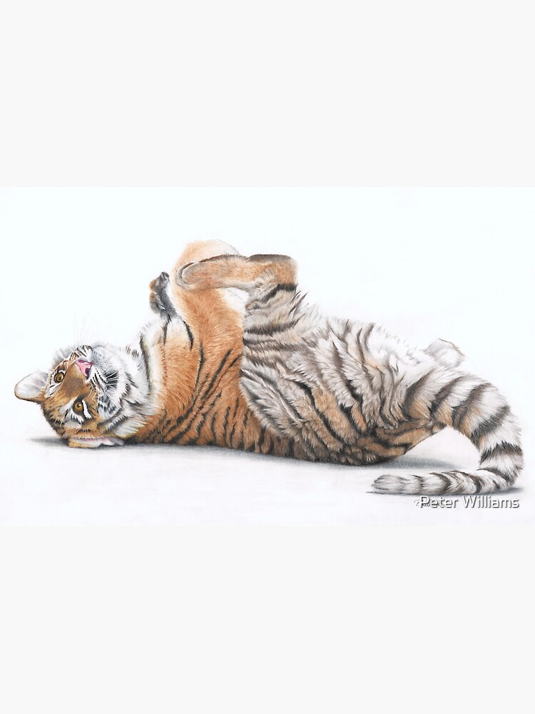 "Tiger Feet" Poster for Sale by Mightyfineart | Redbubble