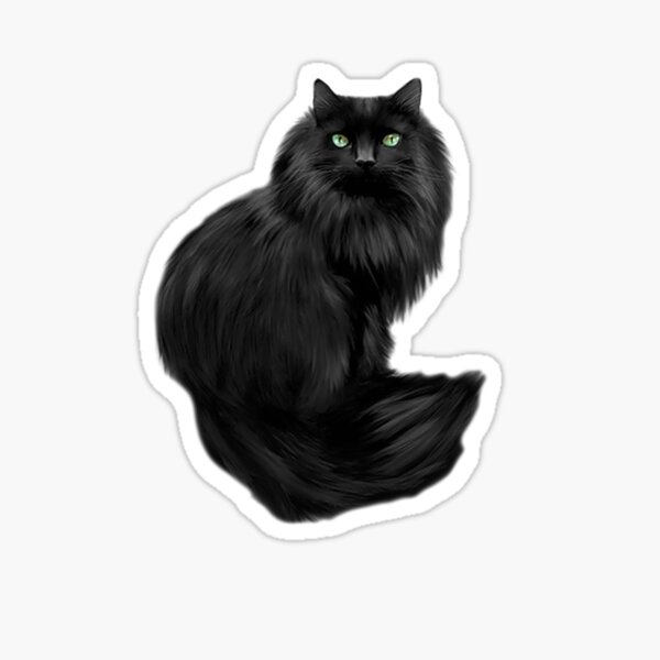 "Black Long Haired Cat" Sticker for Sale by Pam069 | Redbubble