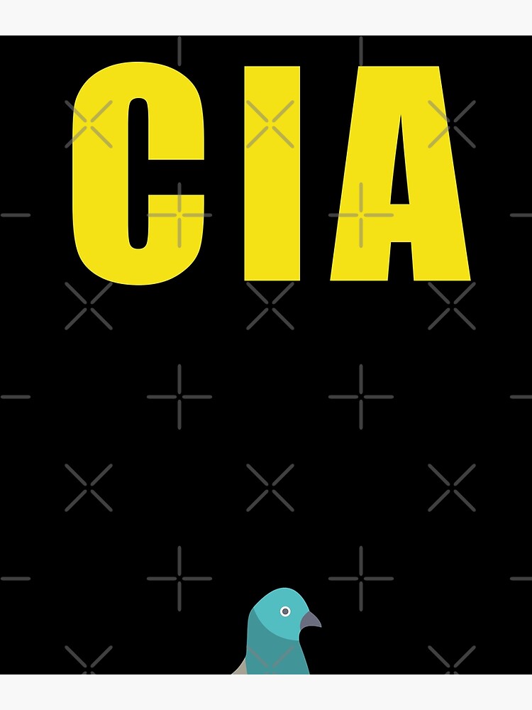 "CIA Pigeon Spions Verschwörungstheorie" Fotodruck von hadicazvysavaca ...
