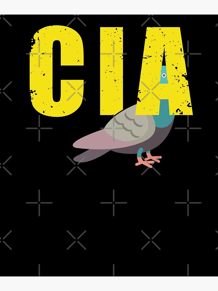 "CIA Pigeon Spions Verschwörungstheorie" Fotodruck von hadicazvysavaca ...