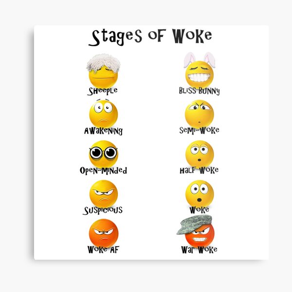 "Woke Stages - Funny Conspiracy Theorist Levels Chart with Cute Emojis ...