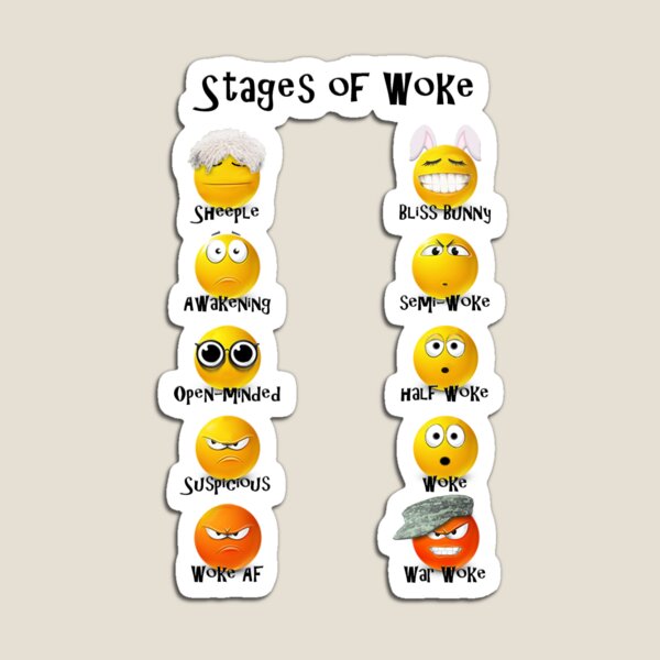 "Woke Stages - Funny Conspiracy Theorist Levels Chart with Cute Emojis ...