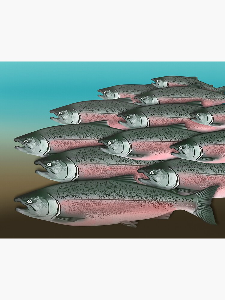 "Alaska Coho Silver Salmon School" Sticker for Sale by nadya | Redbubble