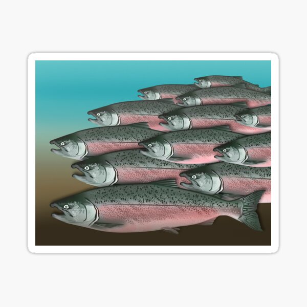 "Alaska Coho Silver Salmon School" Sticker for Sale by nadya | Redbubble