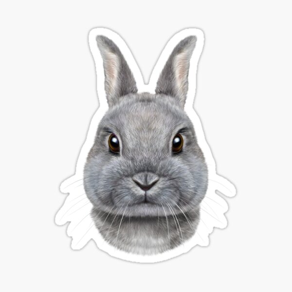 "Netherland Dwarf Rabbit Face" Sticker for Sale by Fox-Republic | Redbubble