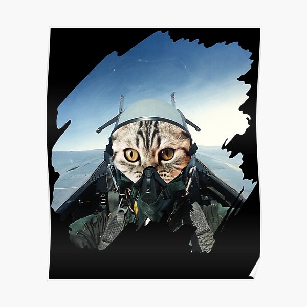 "Domestic Cat Pilot flying in a Jet Fighter" Poster for Sale by ...