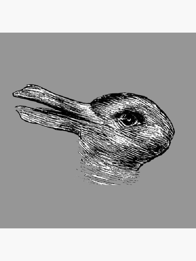 "rabbit duck illusion" Poster for Sale by joecarrick | Redbubble