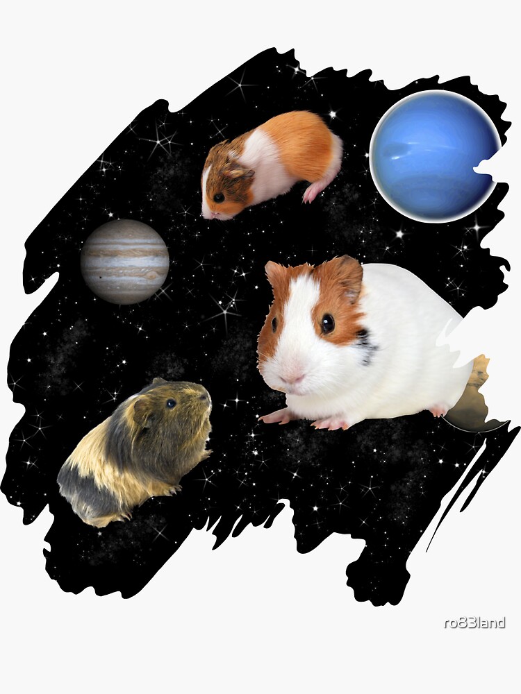 "Guinea Pigs in Outer Space" Sticker for Sale by ro83land | Redbubble
