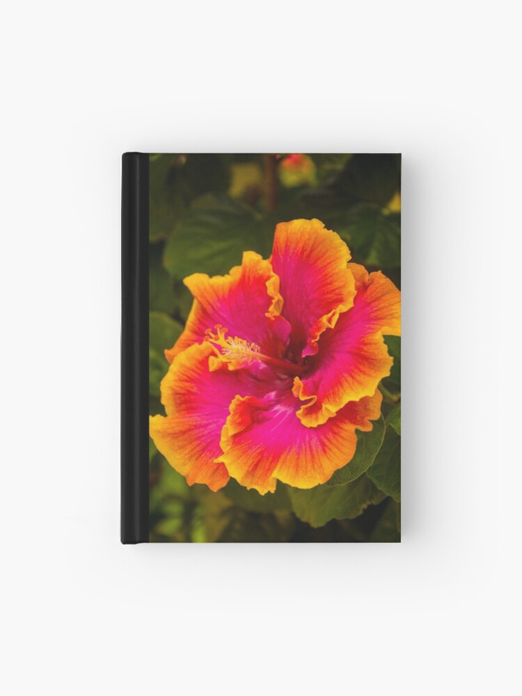 "Hawaiian Multi-colored Hibiscus from Kauai" Hardcover Journal for Sale ...