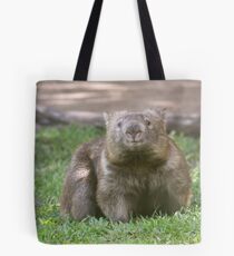 Wombat: Gifts & Merchandise | Redbubble