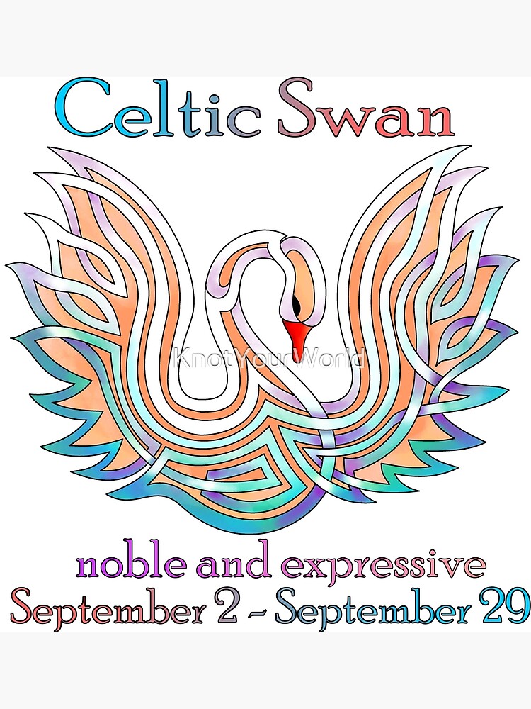 "Celtic Knot Swan Birthsign" Poster for Sale by KnotYourWorld | Redbubble