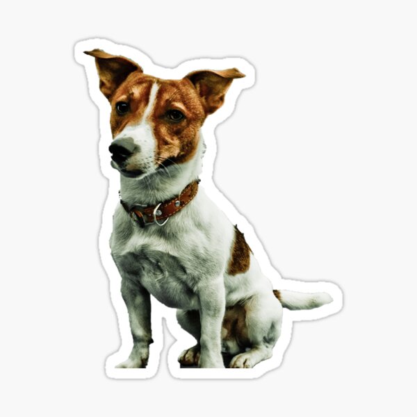 "Jack Russell" Sticker for Sale by ChrisTina1990 | Redbubble