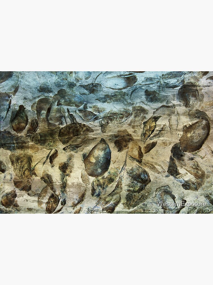 "Mare Hyperboreum" Poster by WesternExposure | Redbubble