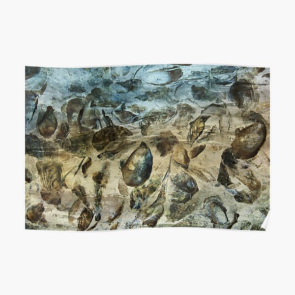 "Mare Hyperboreum" Poster by WesternExposure | Redbubble