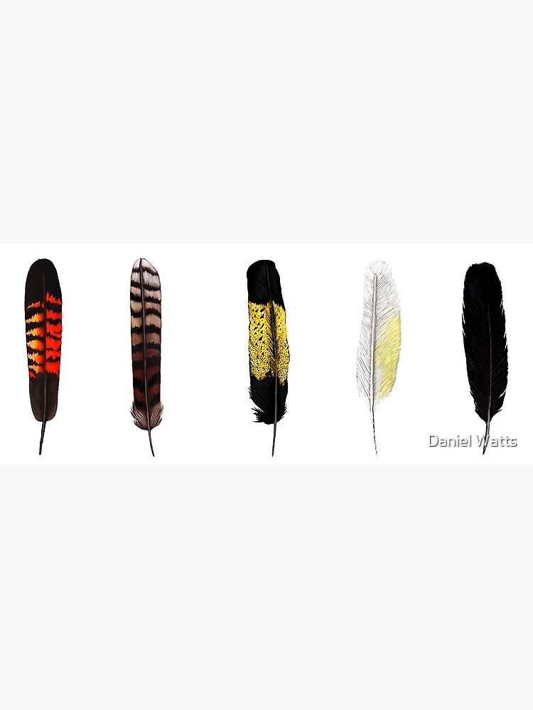 "Australian Bird Feathers " Art Print for Sale by DanJohnDesign | Redbubble