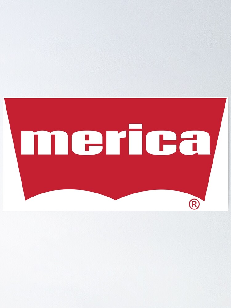 "Merica Words Millennials Use America" Poster for Sale by ProjectX23 ...