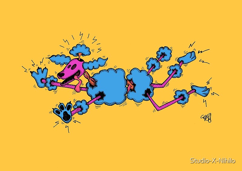 "Exploodle , the exploded Poodle" by Studio-X-Nihilo | Redbubble