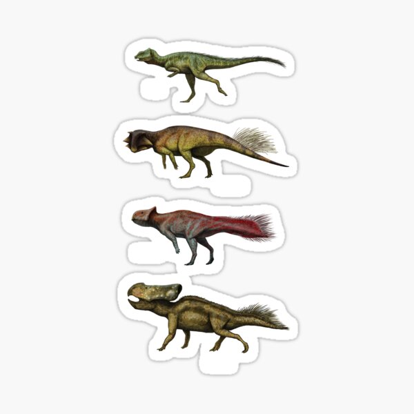 Ceratopsians Gifts & Merchandise for Sale | Redbubble