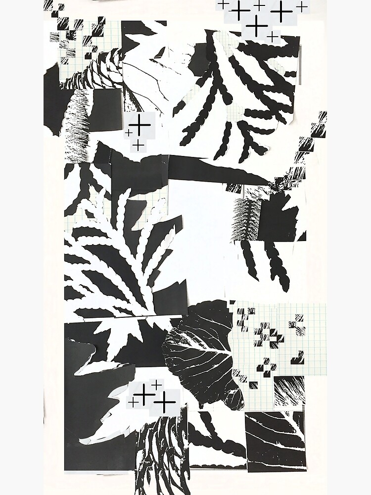 "Math in Nature" Framed Art Print for Sale by ksfiorino | Redbubble