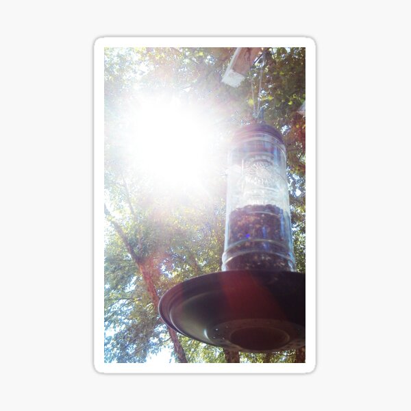 "A Sunny Bird Feeder" Sticker by HannahGrace2007 | Redbubble