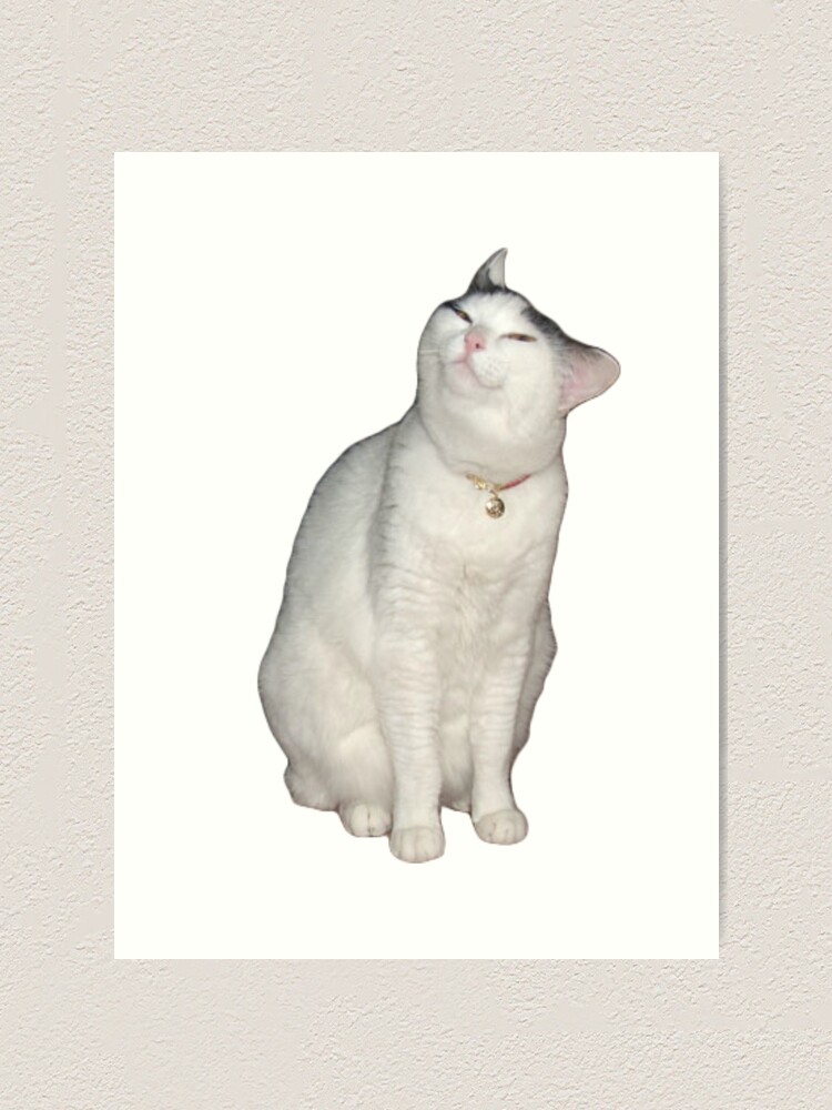 "Smug cat meme" Art Print for Sale by monkofyomom | Redbubble
