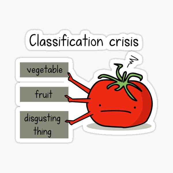 "Tomato taxonomy" Sticker for Sale by hungryfatcat | Redbubble