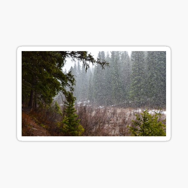 "Fresh Snowfall on the Trail." Sticker by CanadianWild418 | Redbubble