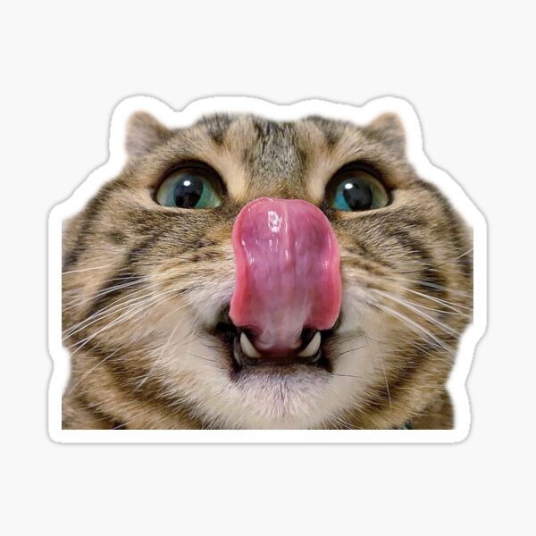 Cat Boop Stickers | Redbubble