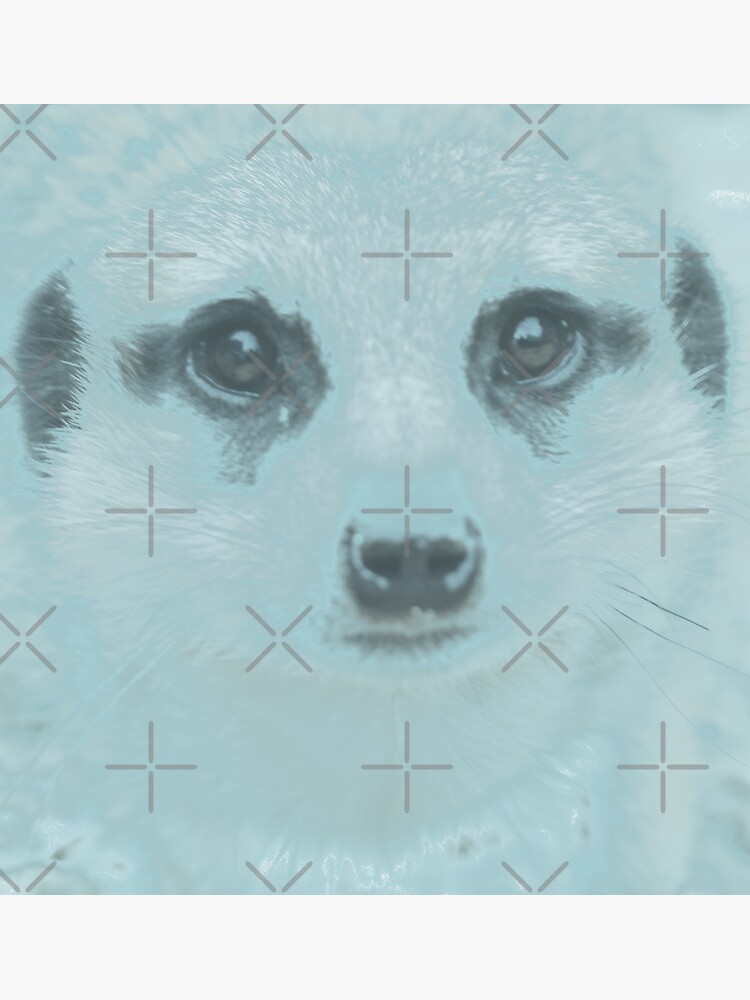 "Meerkat Hello" Sticker for Sale by vontabulous | Redbubble