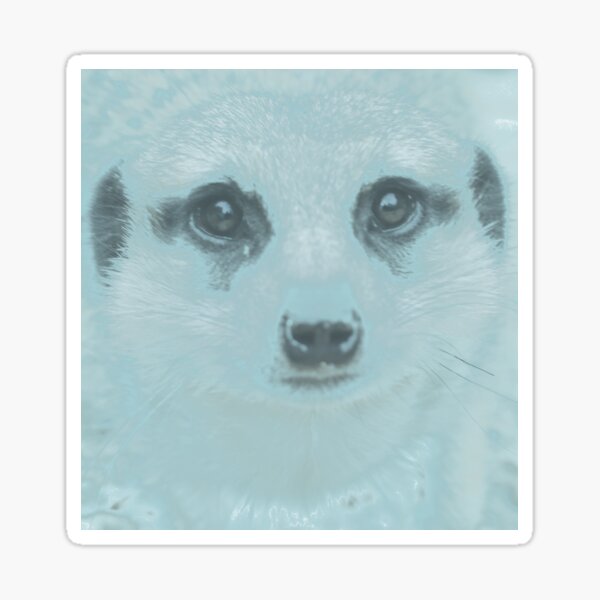 "Meerkat Hello" Sticker for Sale by vontabulous | Redbubble
