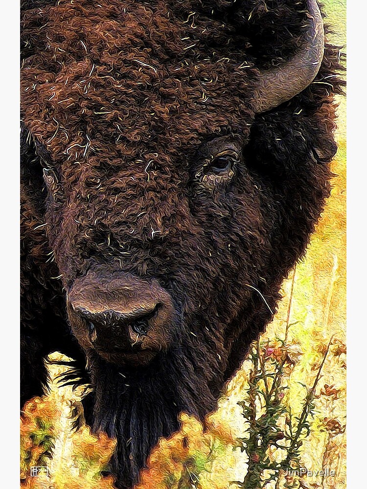 "Buff" Poster for Sale by JimPavelle | Redbubble