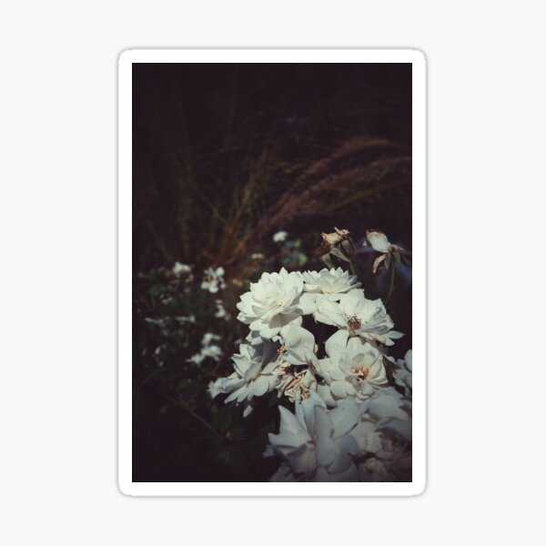 "Romance Part 1." Sticker for Sale by runforestttt | Redbubble