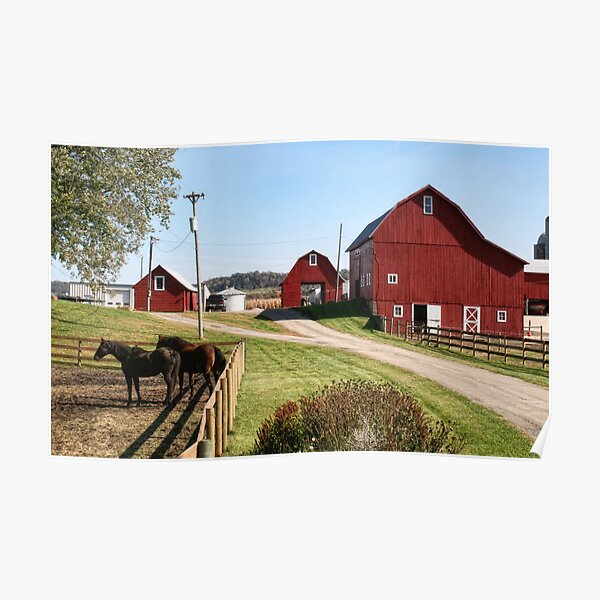 "Red Barns" Poster for Sale by MsTique | Redbubble