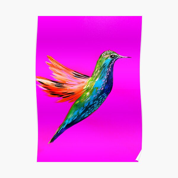 Póster «Rosa fuerte con colibrí» de cathyjacobs | Redbubble